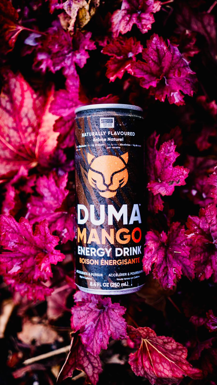 Our Story – Duma Energy